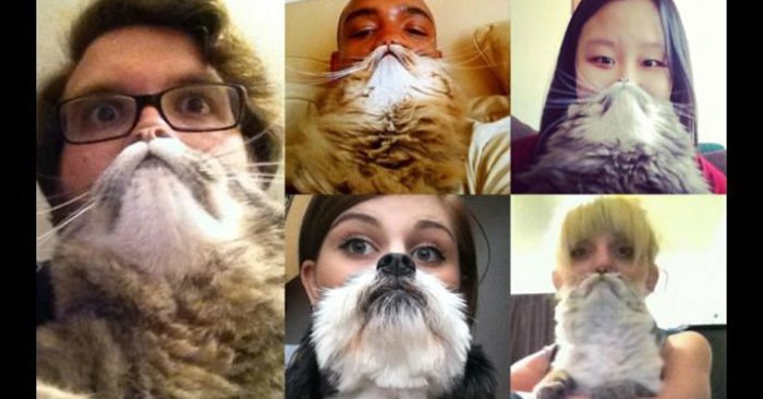 แกลเลอรีรูปภาพ กระแส Cat Beards กำลังมา