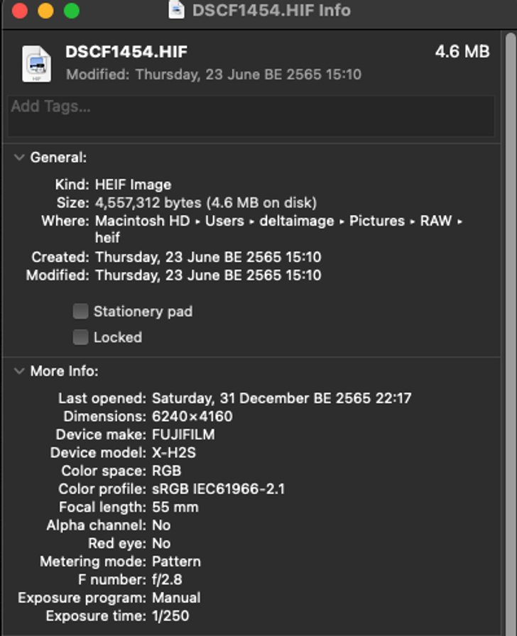 ไขคำตอบ ทำไมถึงควรเซตกล้องให้ถ่ายเป็นไฟล์ HEIF ในกล้องที่ถ่ายได้