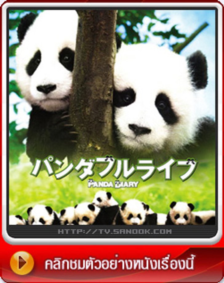 Panda Diary