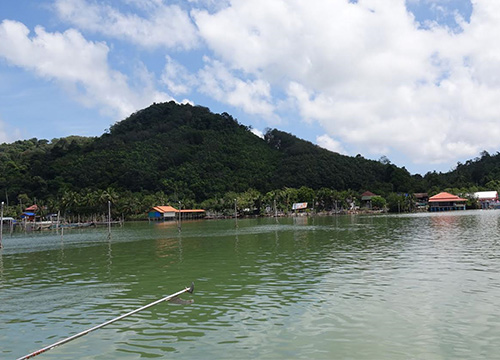 โฮมสเตย์เกาะยอคึกคักพร้อมรับนักท่องเที่ยว