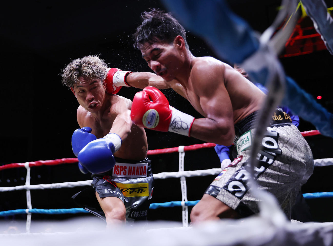 รวมรูปภาพของ ต้องเจอกับใคร? "ปธ. IBF" เคาะแล้ว "เพชรโกศล" กำปั้นไทยได้สิทธิ์ชิงแชมป์โลก 108 ป. ...