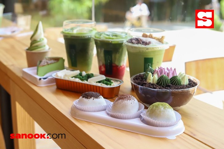 CHAN nature cafe คาเฟ่สไตล์นอร์ดิกกลางหุบเขา สวรรค์ของคนรักแคตตัส