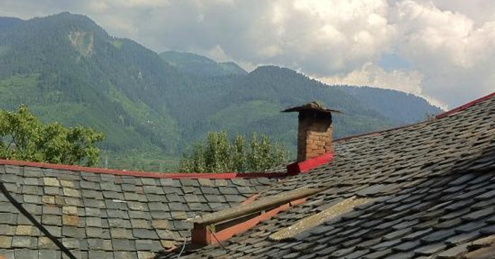 Manali Tree House Cottages