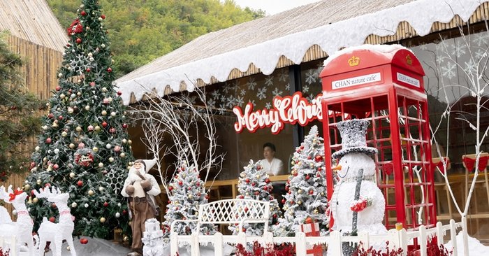 รวมรูปภาพของ CHAN Nature Cafe จัดธีมคริสต์มาสกลางลมหนาว บรรยากาศราวกับ ...