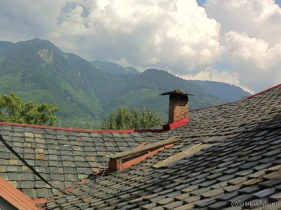 Manali Tree House Cottages