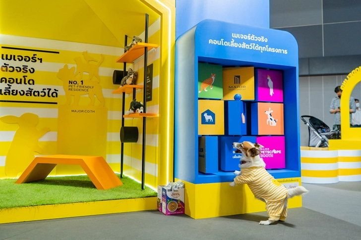 เมเจอร์ฯ จัดเต็มขนความน่ารัก และกิจกรรมมาเต็มบูธงาน Pet Expo ...