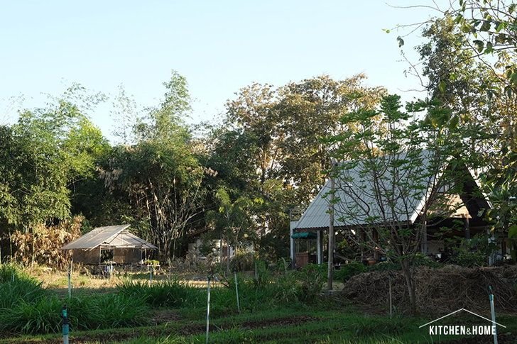 Farm Behind the Barn ฟาร์มของเราอยู่หลังฉาง