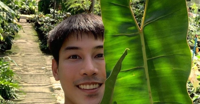 รวมรูปภาพของ ยิ่งเลี้ยง ยิ่งรัก เคน เอสเธอร์ สร้างโรงเรือนปลูกต้นไม้